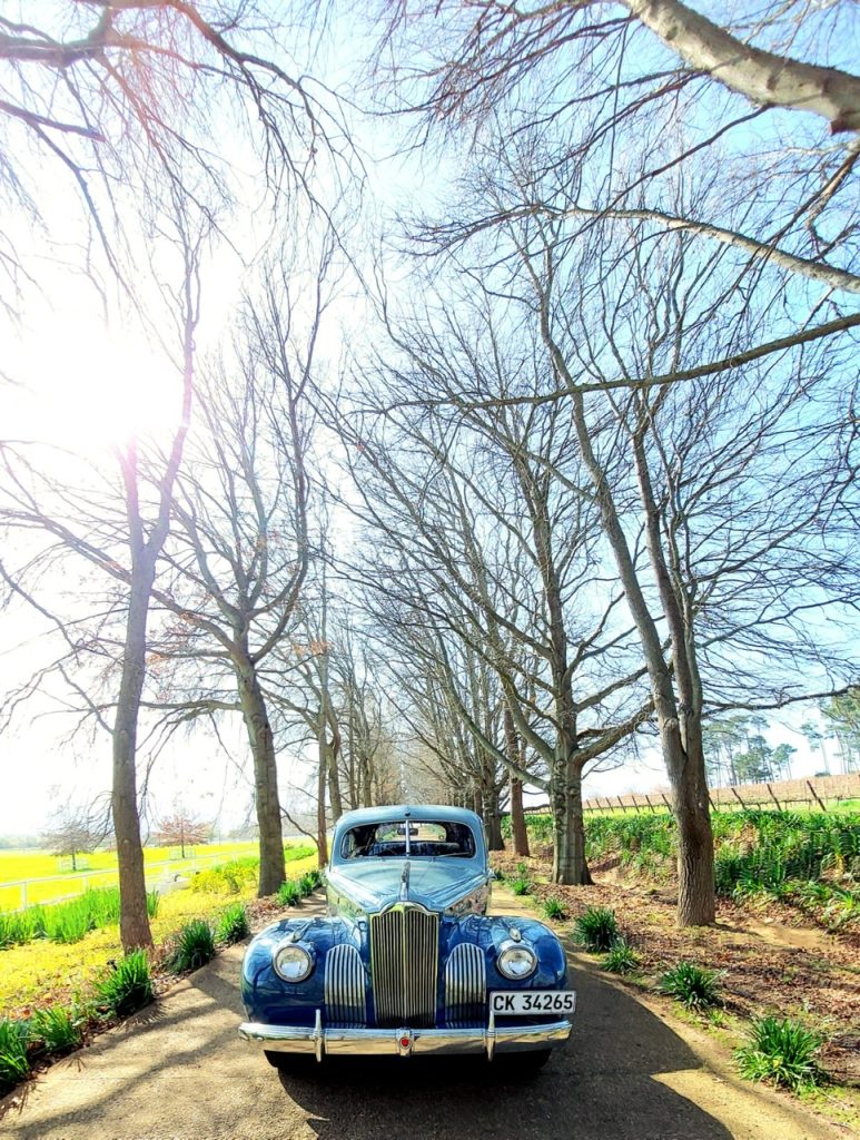 Spanner Works: Wenstley and Donnie Duo - Franschhoek Motor Museum