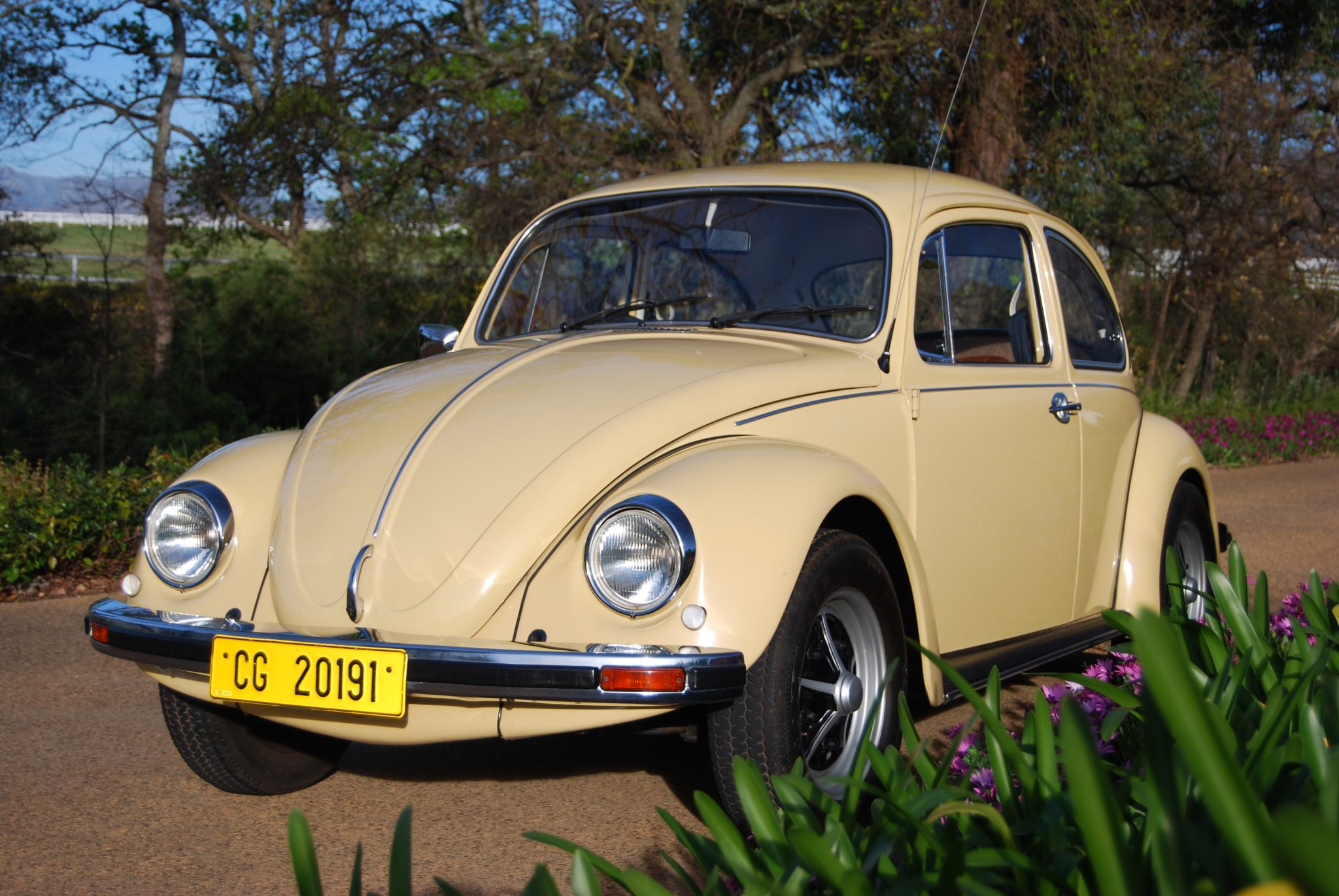 Collection In Action: 1972 VW Beetle 1600L - Franschhoek Motor Museum